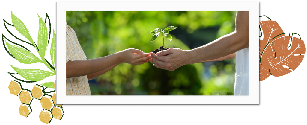 About Alamme | Indonesian Natural Healthy Product Innovation